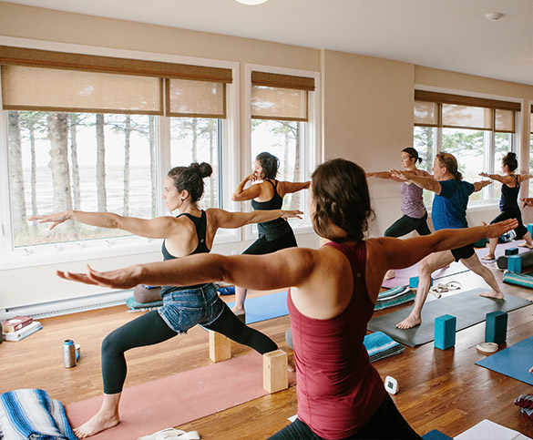 Contact – Yoga SAM